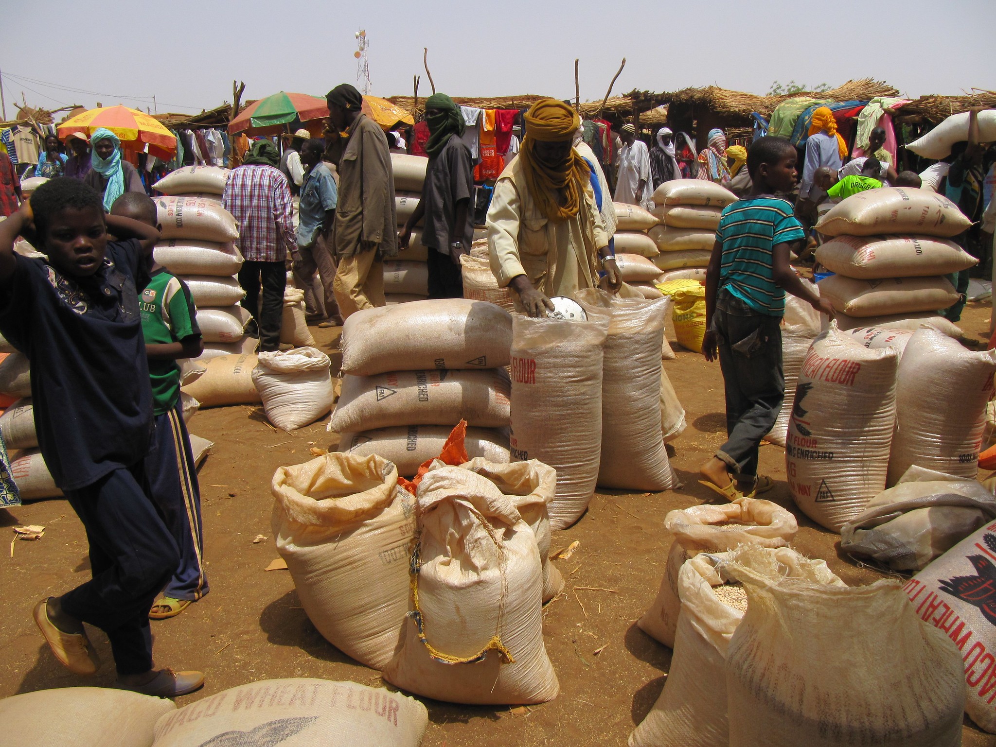 Near-Real-Time Monitoring of Food Crisis Risk Factors - State of ...