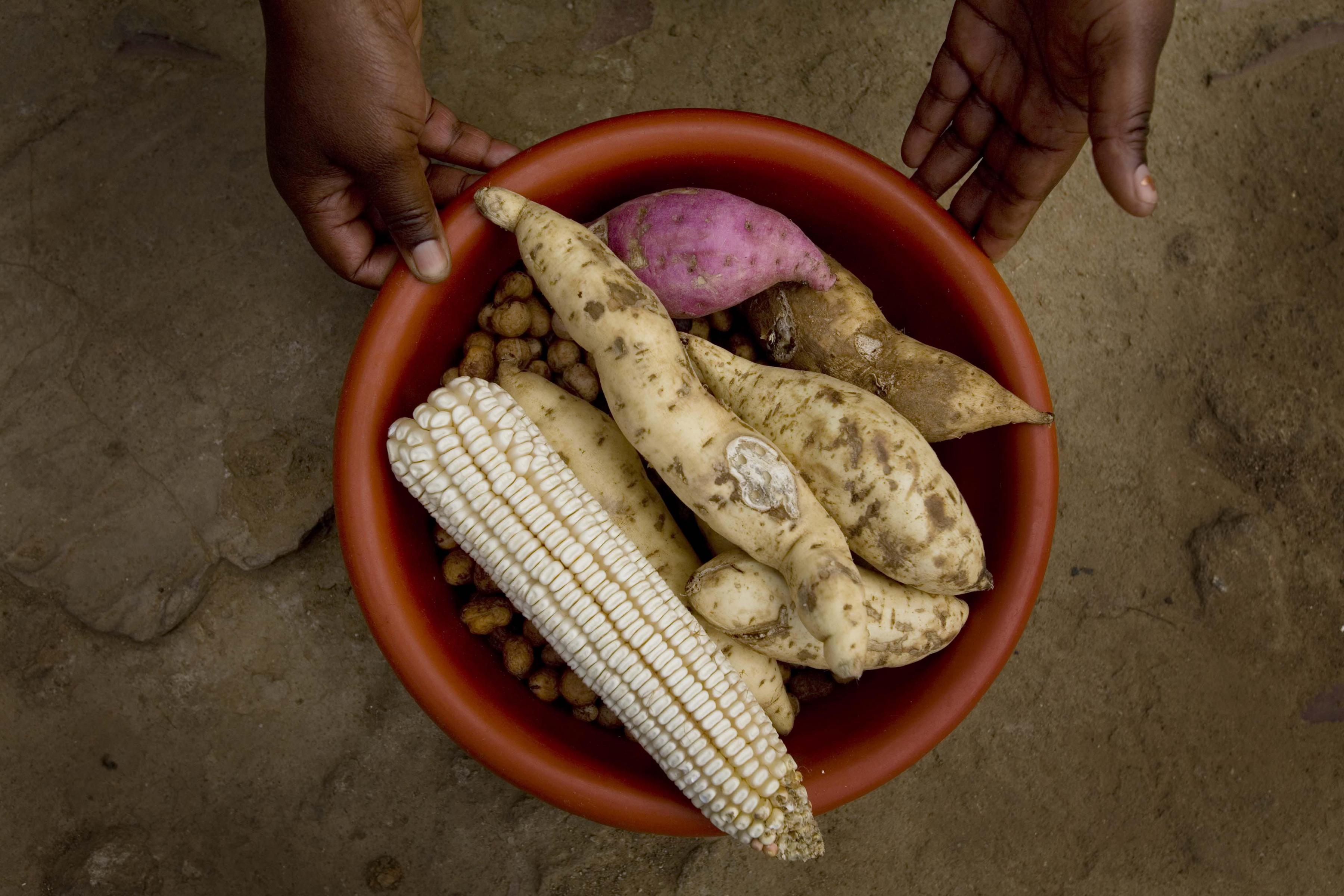 Using Social Safety Nets to Improve Food Consumption | Food Security Portal