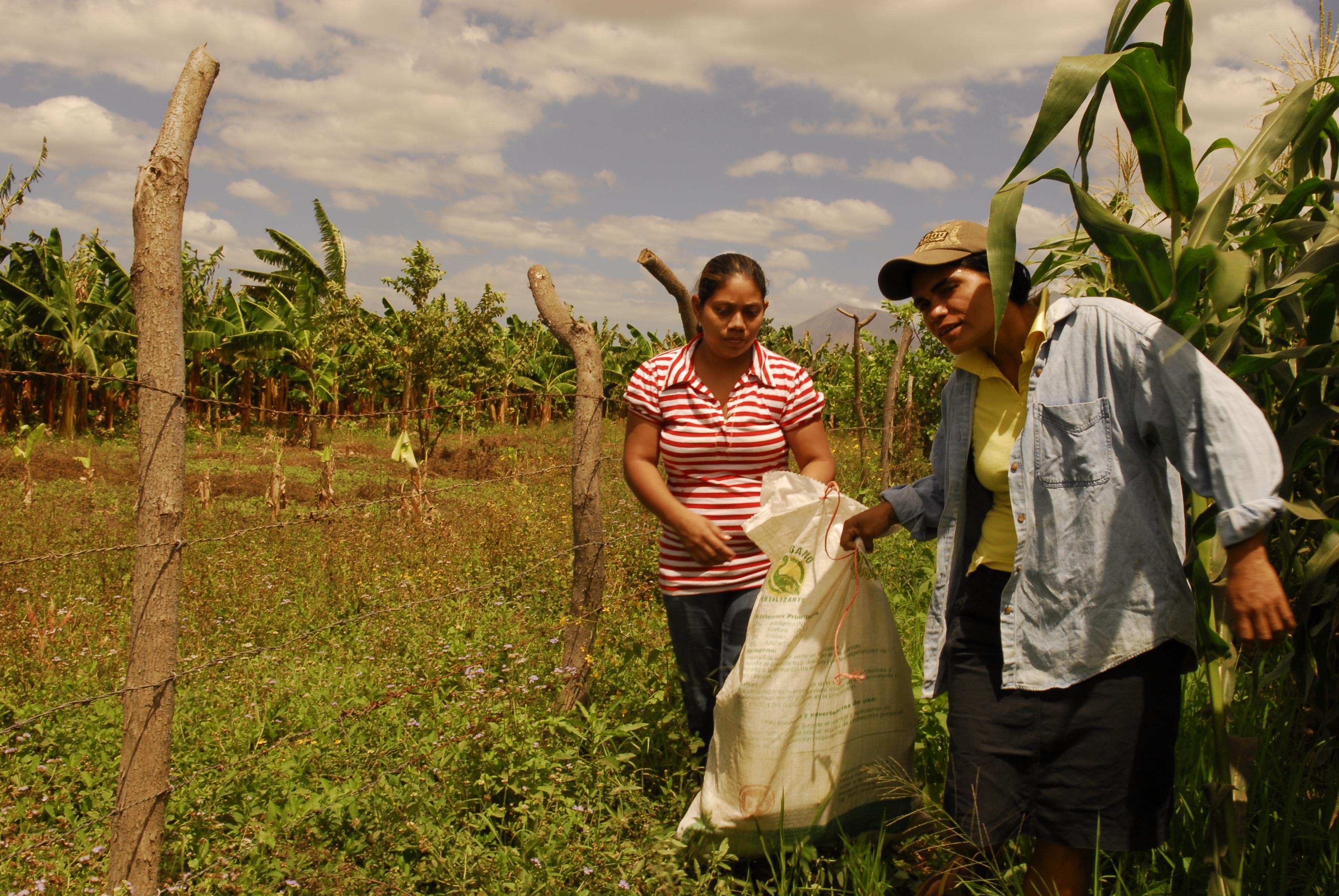 Special Issue: Gender, Climate Change and Agriculture | Food Security ... Special Issue: Gender, Climate Change and Agriculture | Food Security ...
