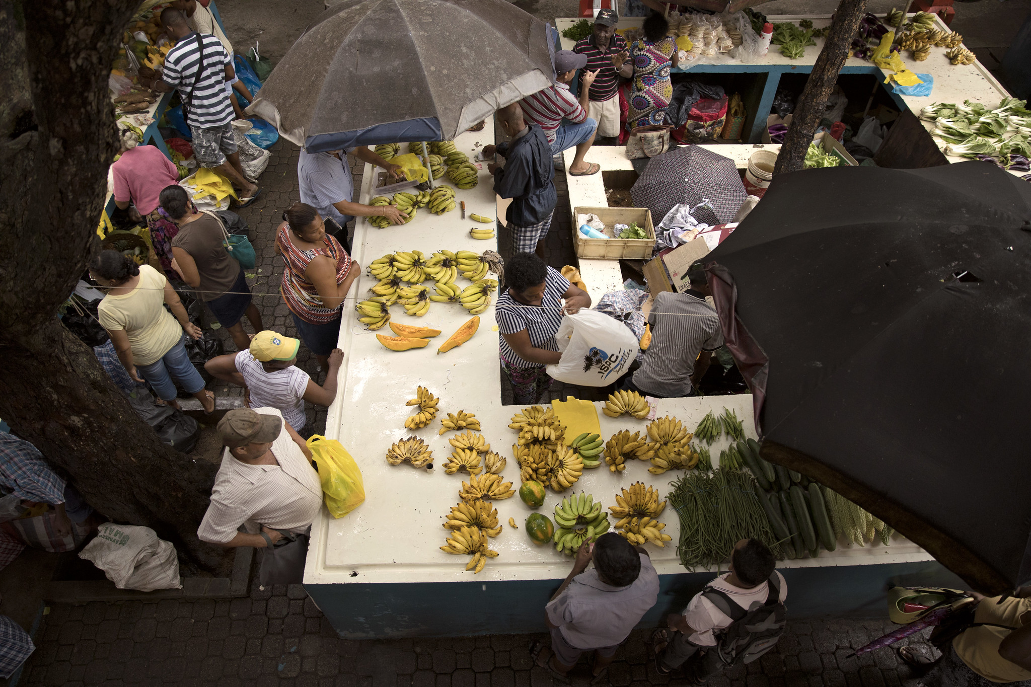 Market Access | Food Security Portal