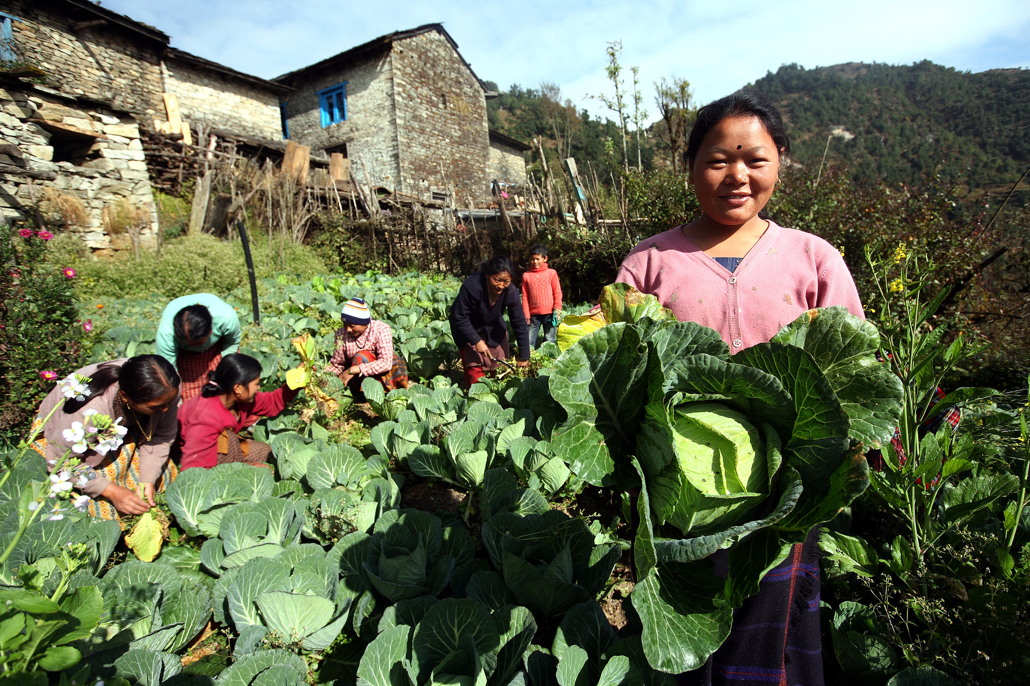 Toward a Food Secure China | Food Security Portal