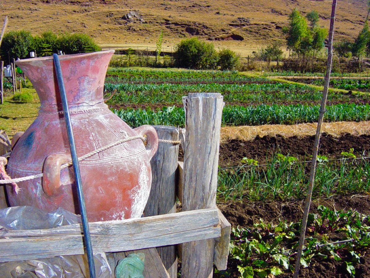 New resource launched to showcase IFPRI’s commitment to Ethiopia | Food ...