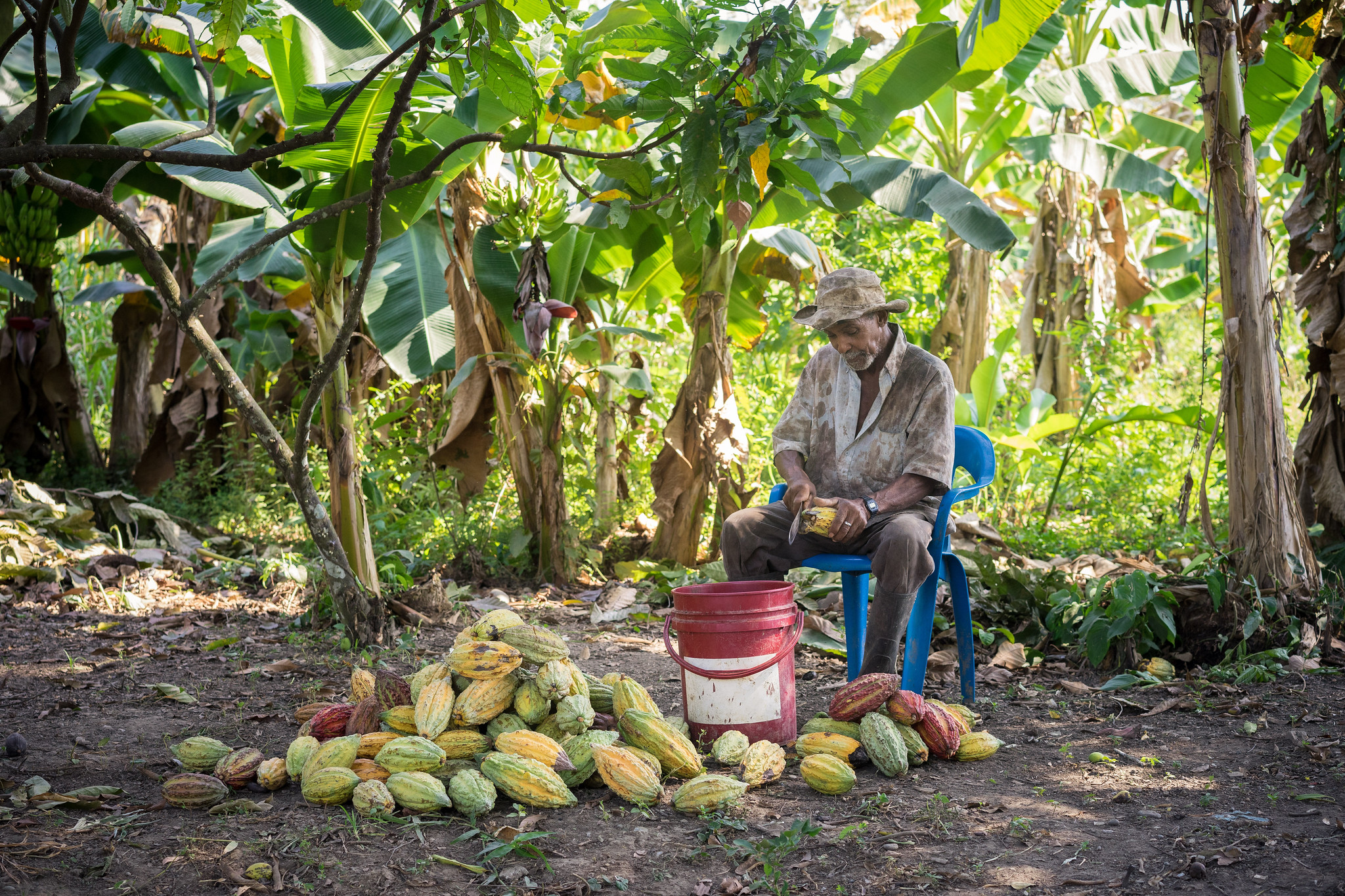 Financing food systems transformation | Event | Food Security Portal