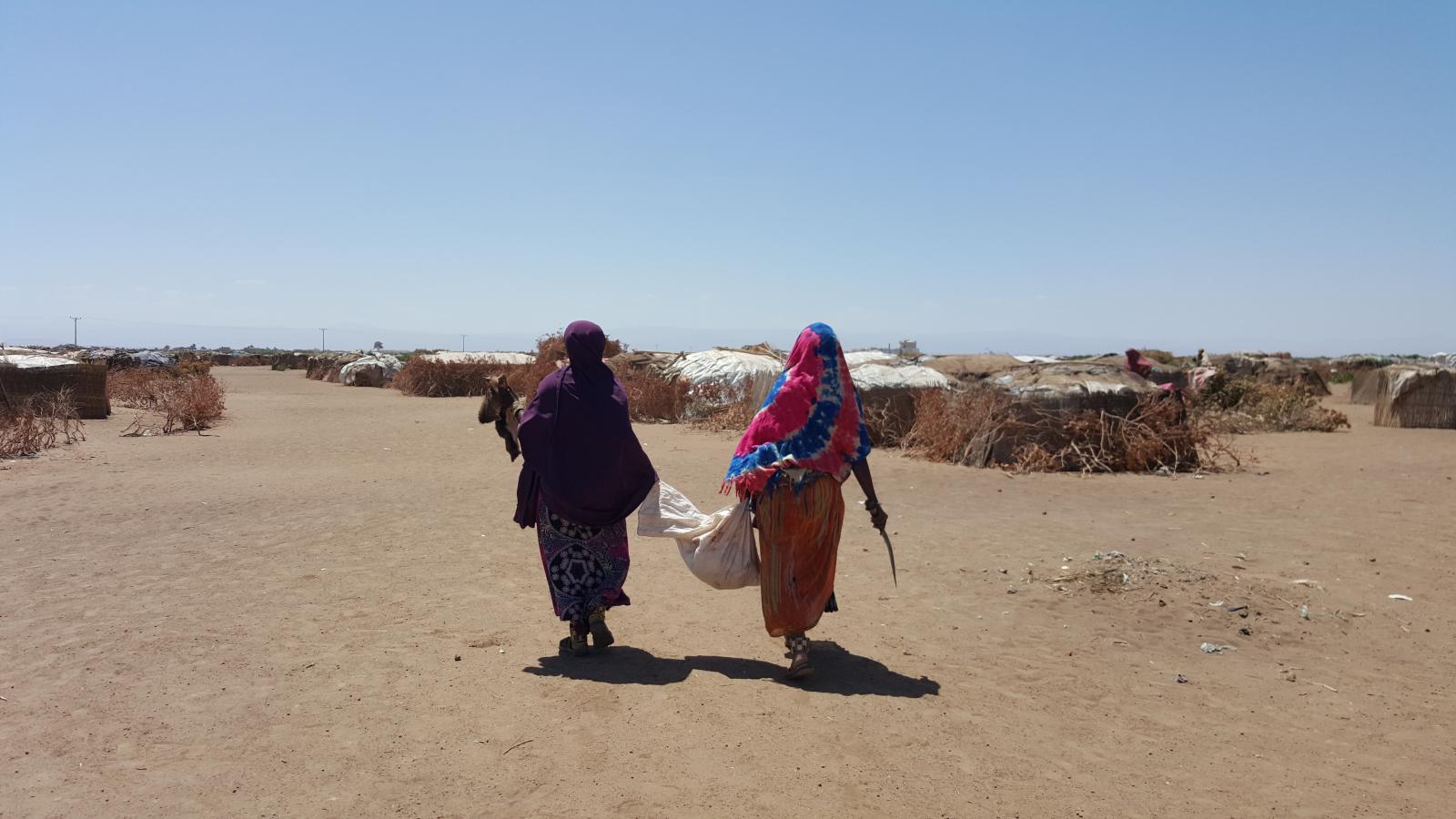 The Hunger-Conflict Nexus | Food Security Portal