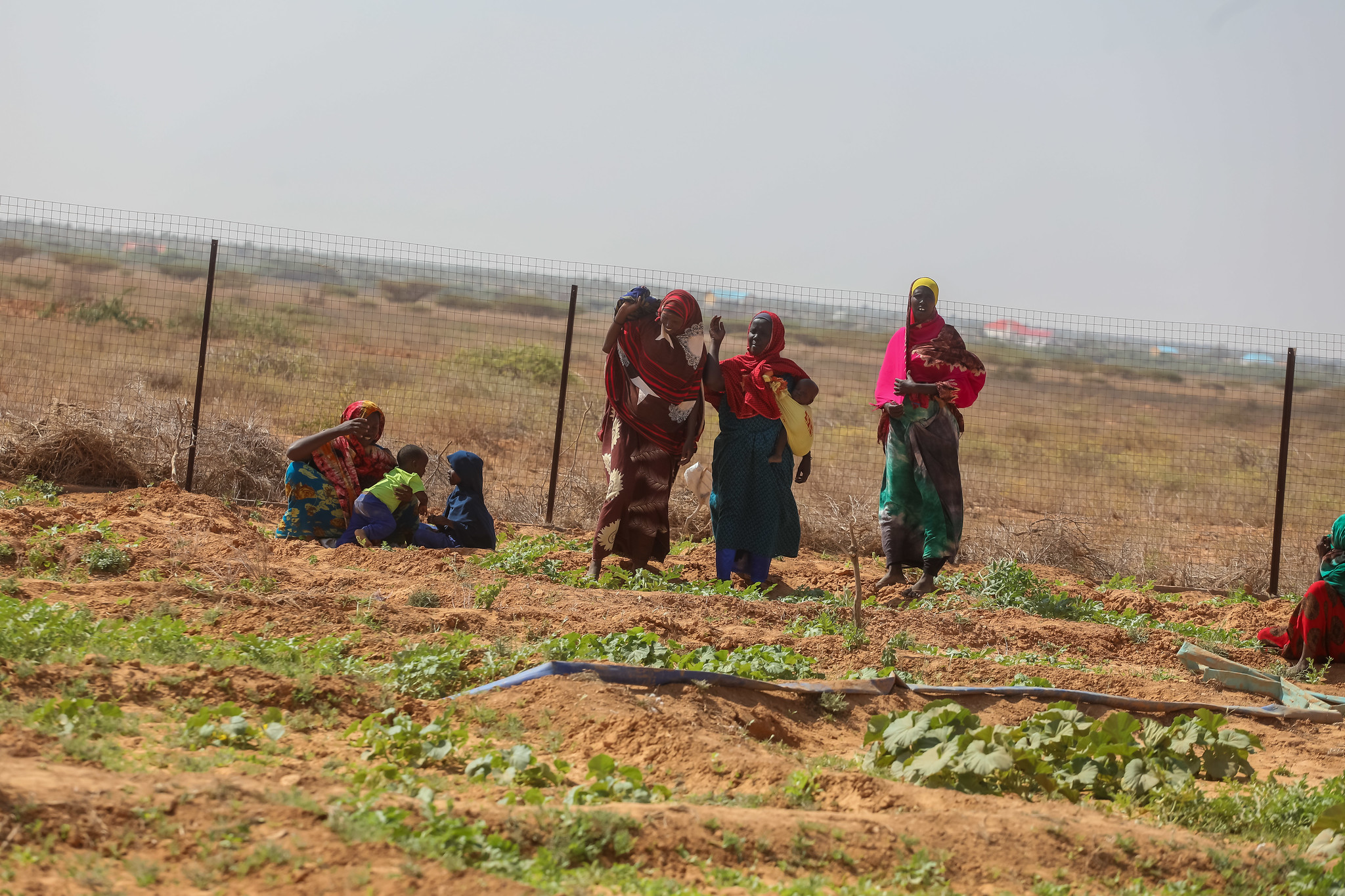 Best Practices: Early Warning Early Action Systems | Food Security Portal