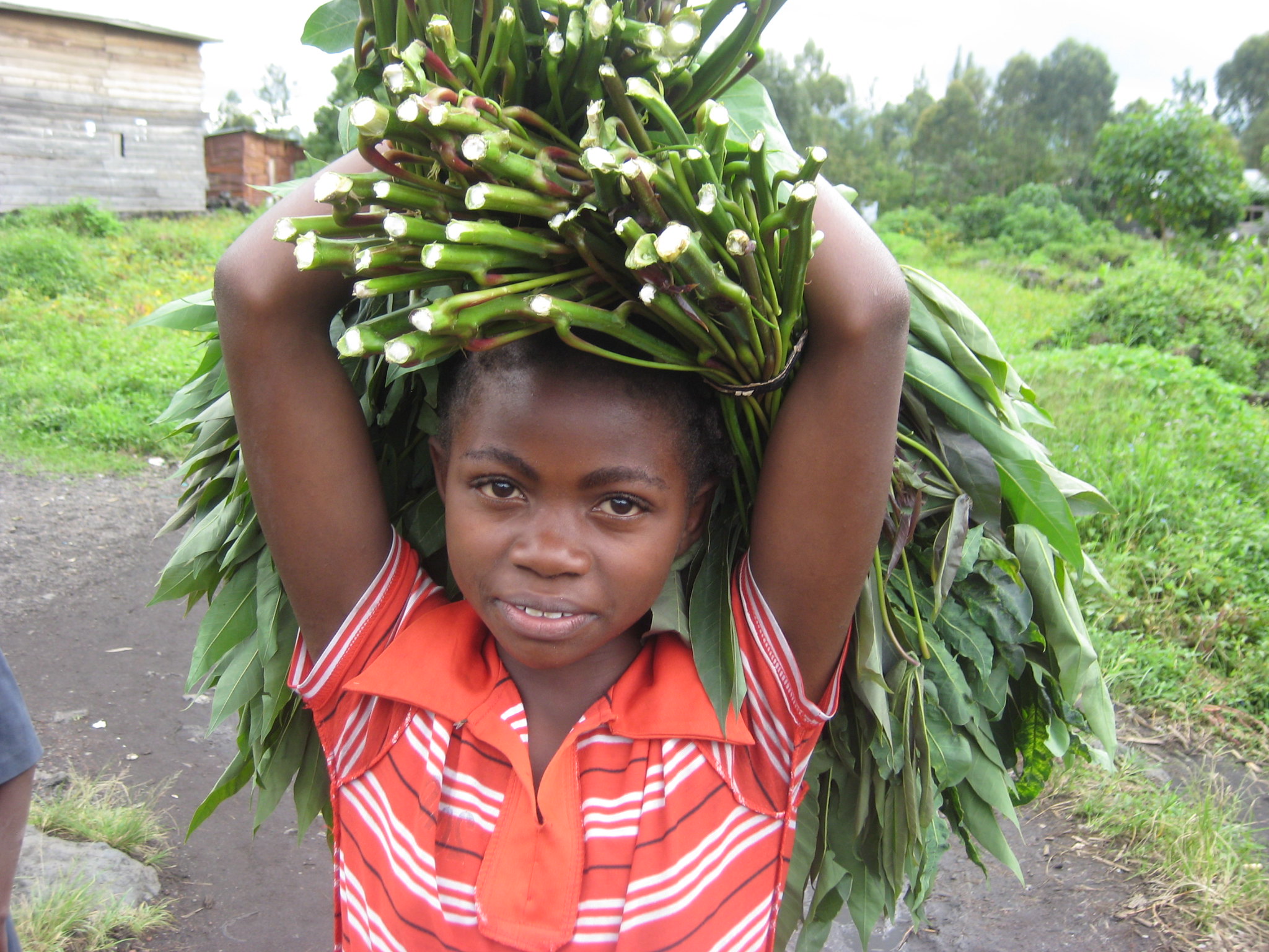 From Famine To Food Security Food Security Portal