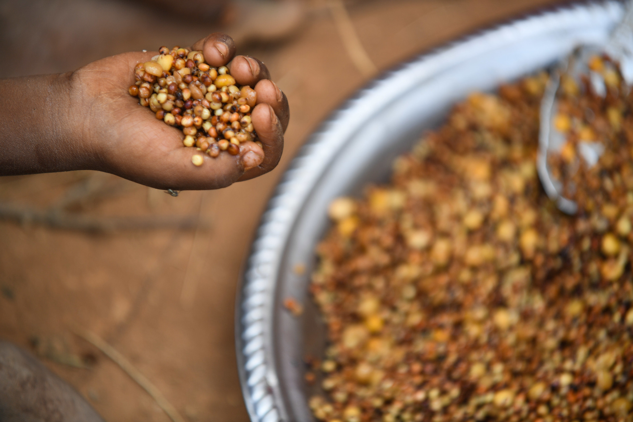 The Road to the UN General Assembly - Roundtable on Preventing Famine ...