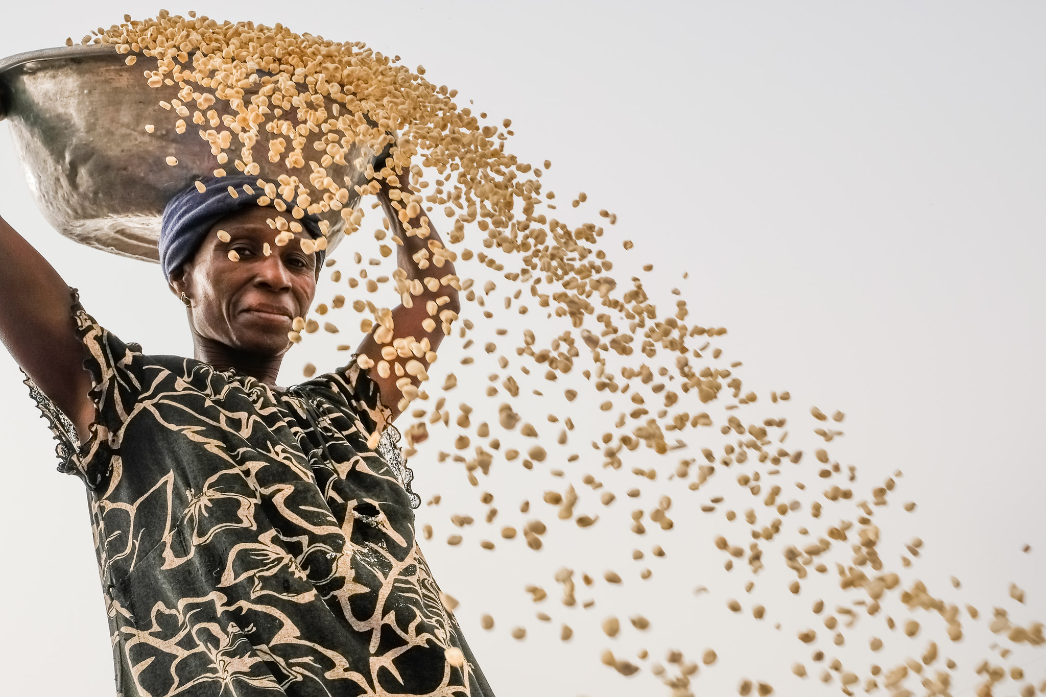 FAO Food Price Index Released | NEX-LABS agora