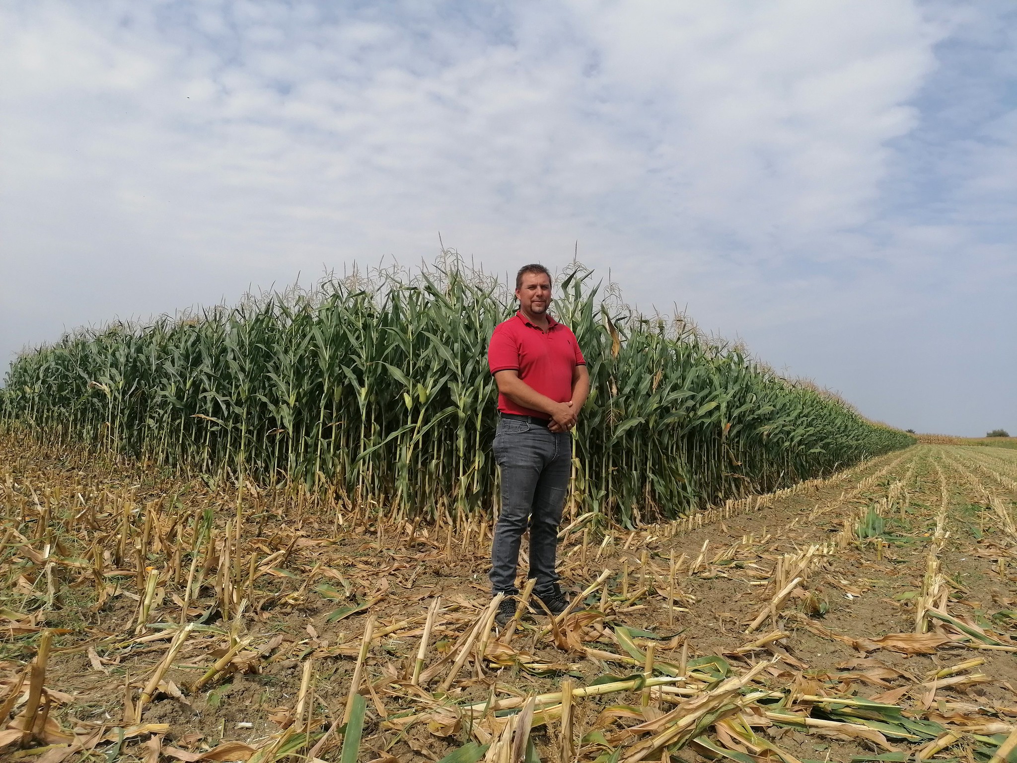 Food vs Fuel V2.0: Impacts of Biofuels on Agricultural Markets and Food ...