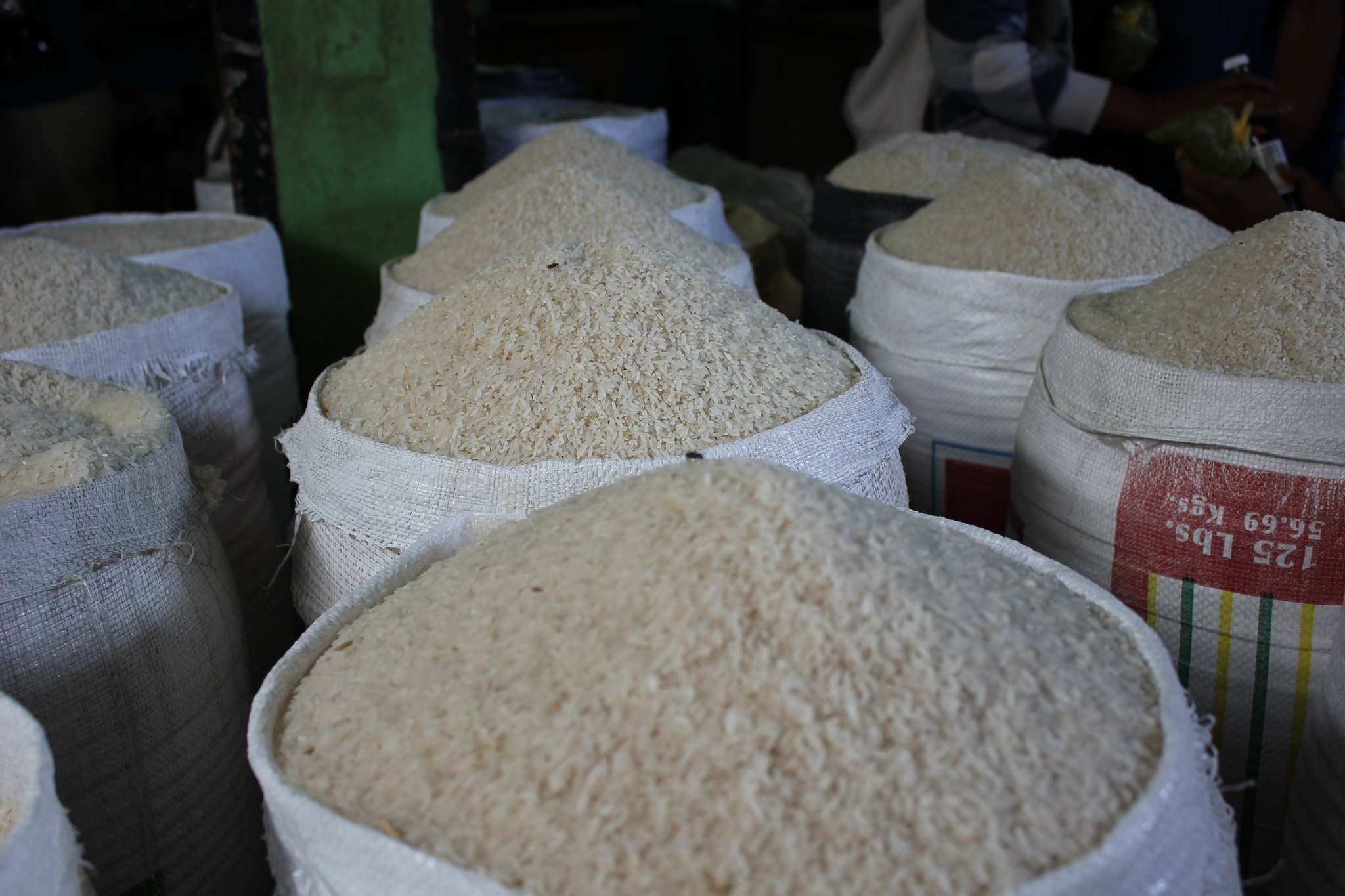 India’s new ban on rice exports: Potential threats to global supply ...