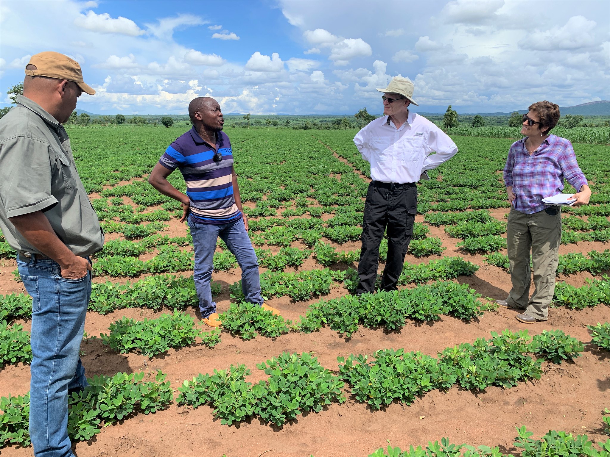 Global Evidence for Improving Resilience and Food Security: Findings ...