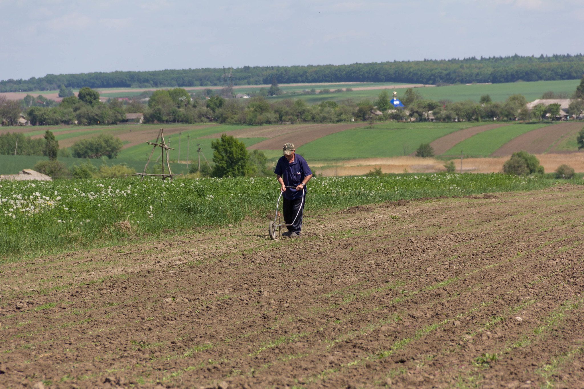 Food System Repercussions of the Russia-Ukraine War | Event | Food ...