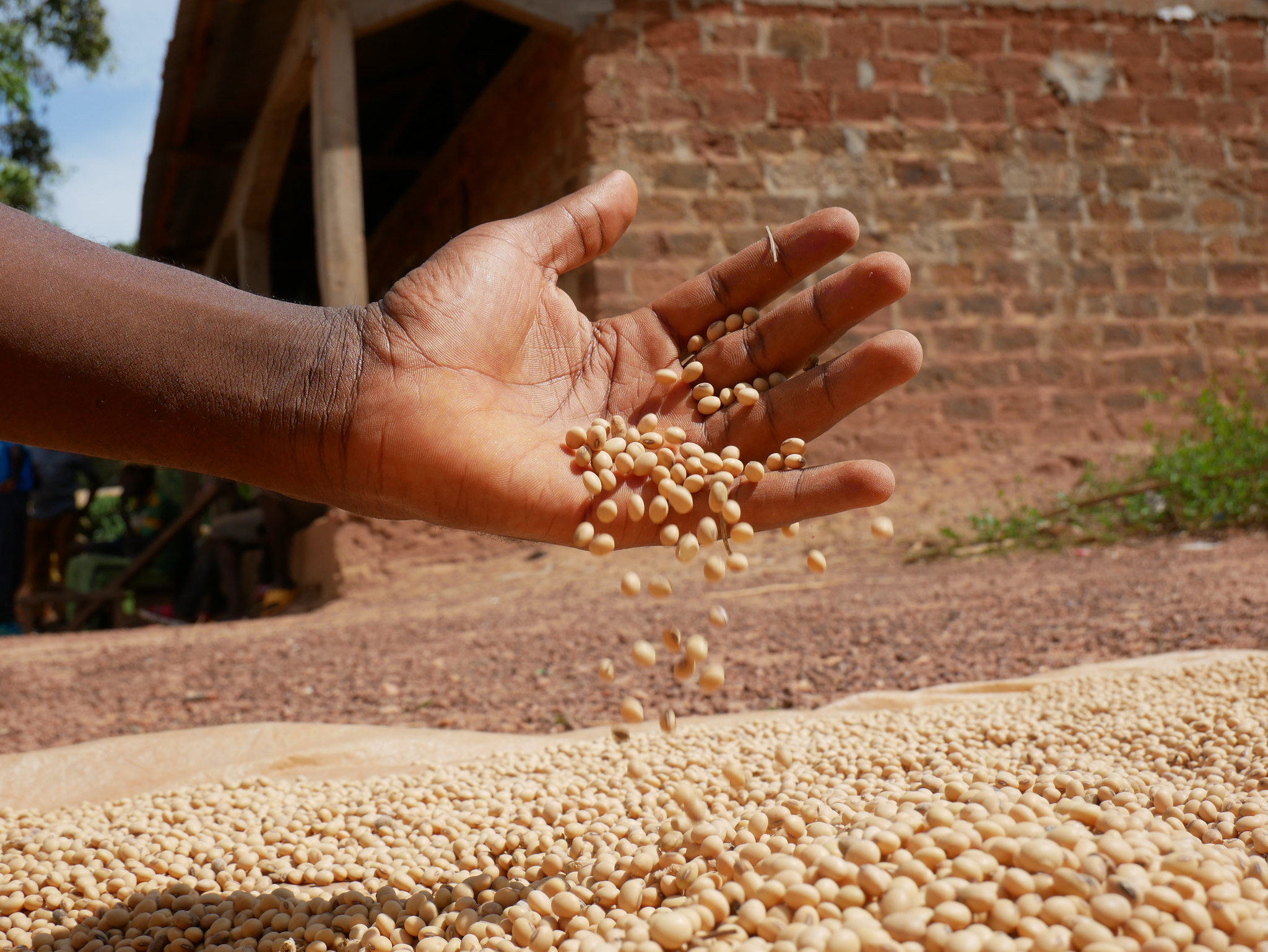 Food security trends in 2024 and beyond | Food Security Portal