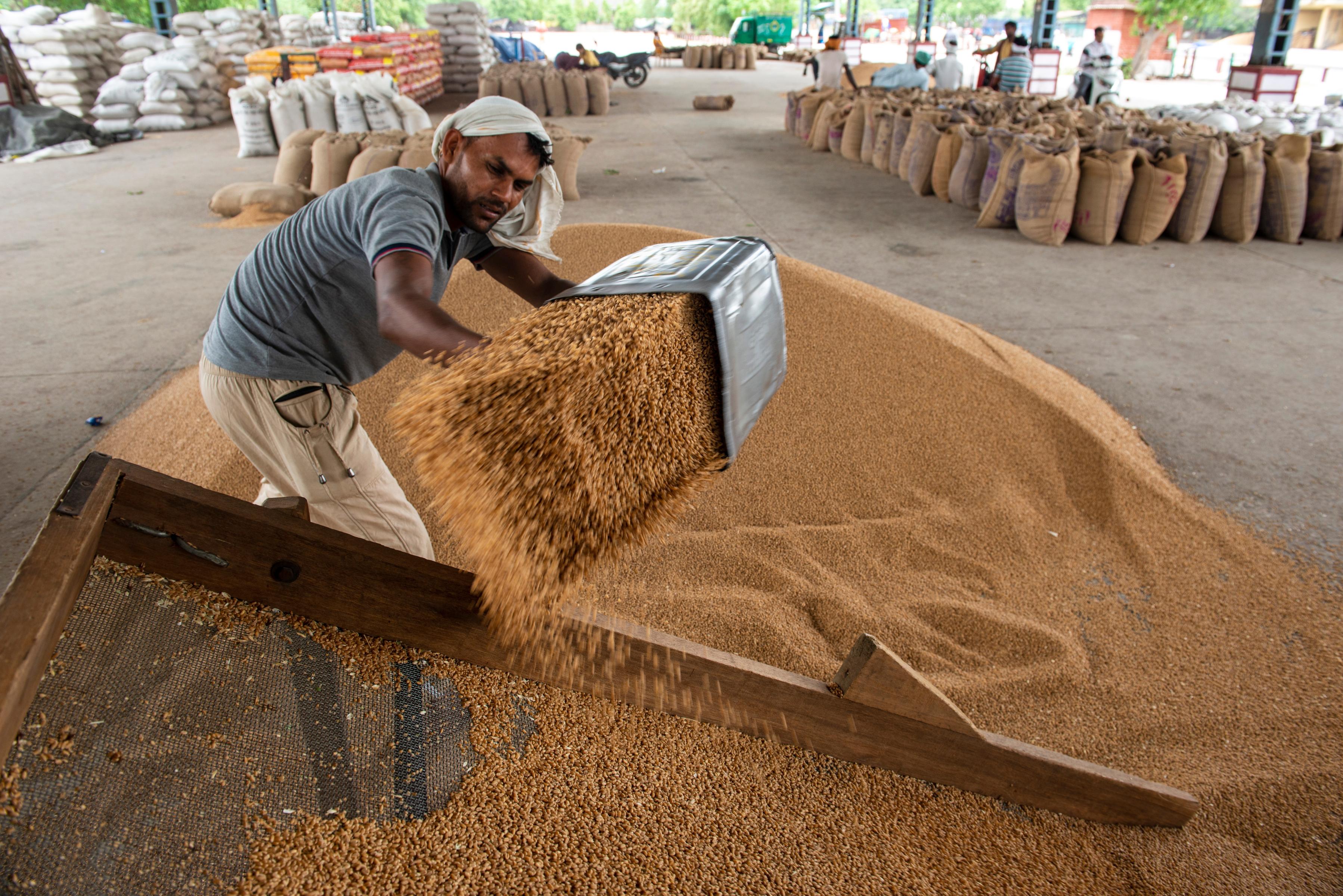 Amid conflict and climate risks, FAO highlights crucial role of AMIS in ...
