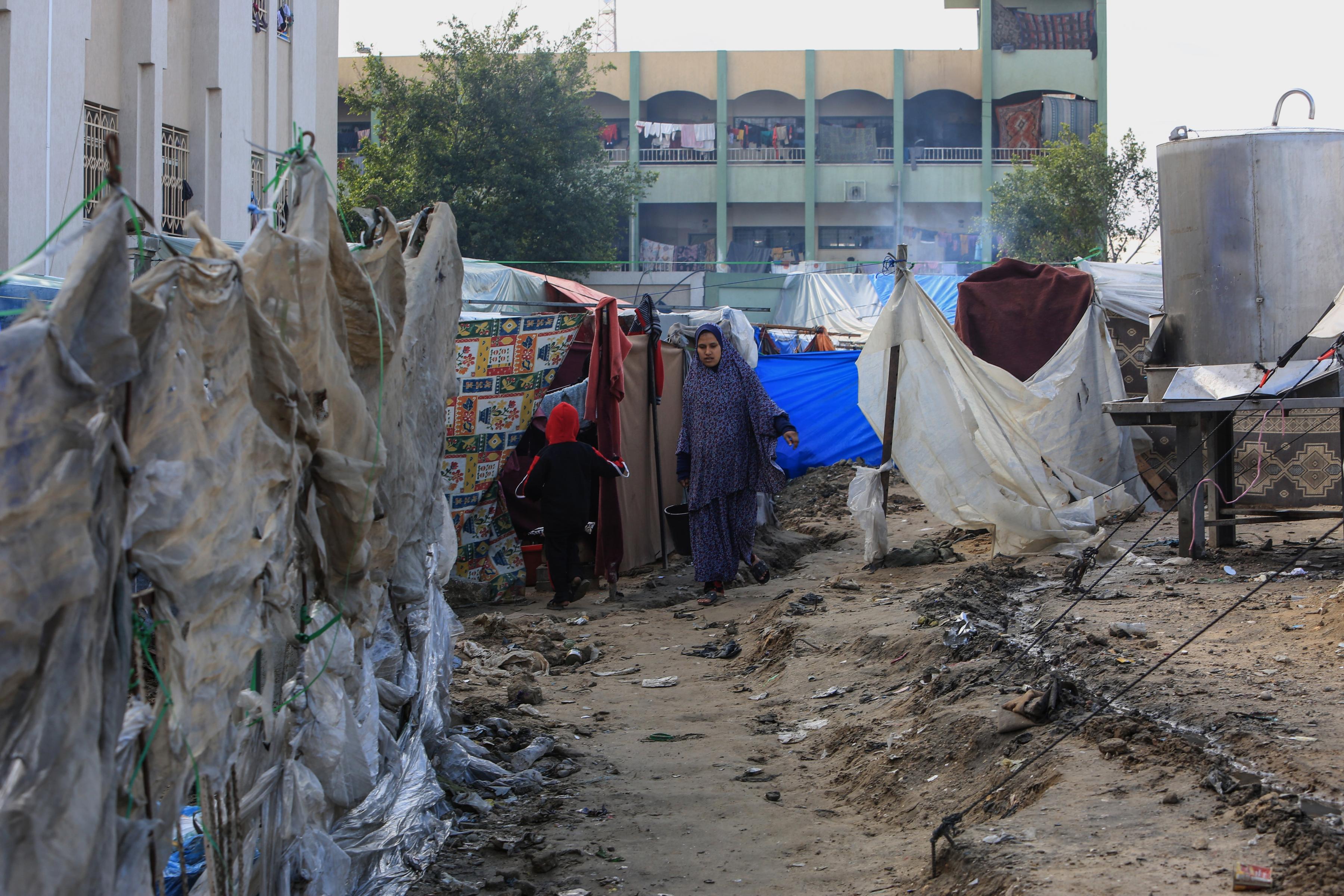 Famine in Gaza: How Research Can Aid Recovery and Prevent Future Food ...