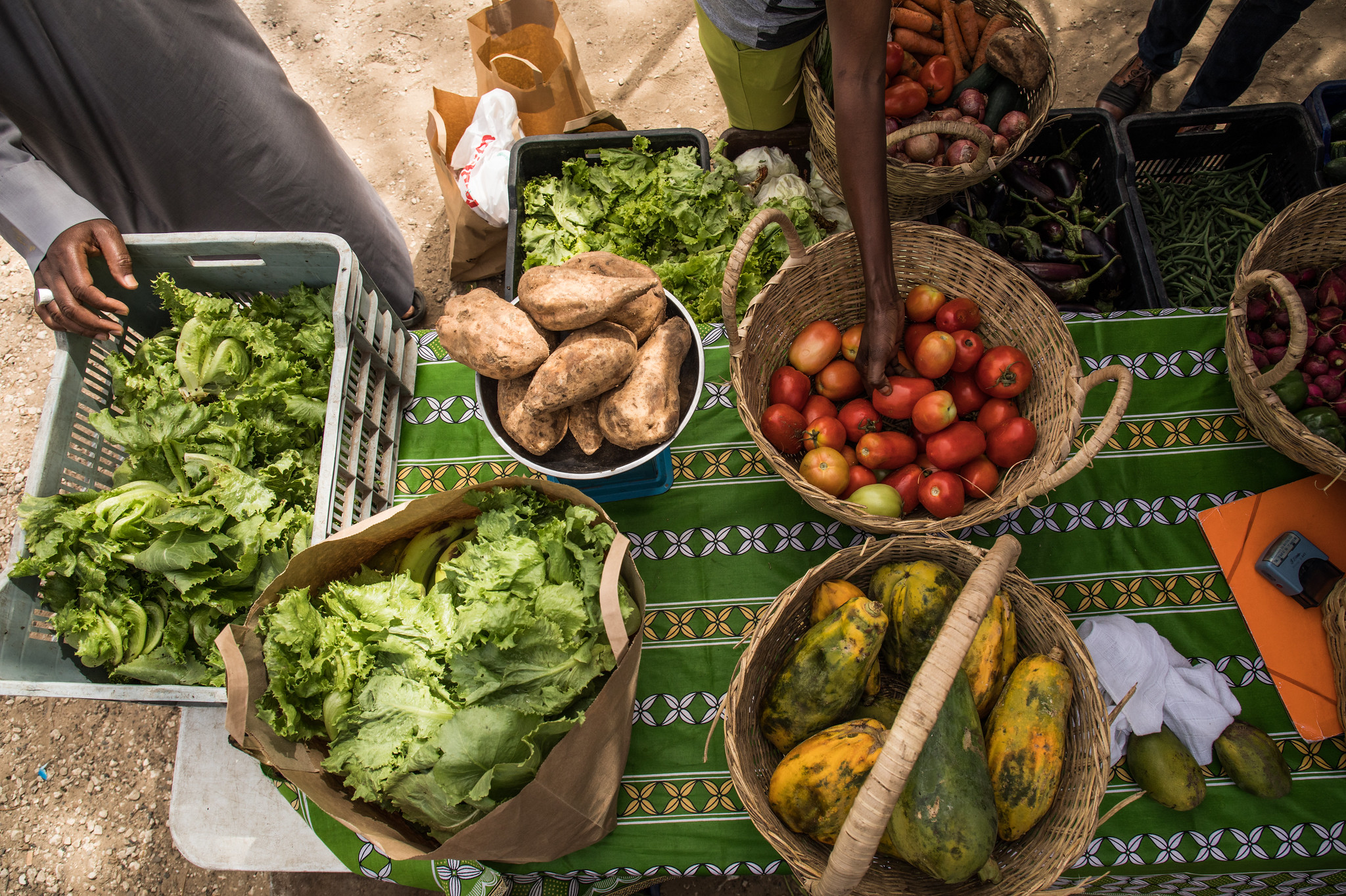 Improving Diets and Nutrition through Food Systems:What Will it Take? A ...