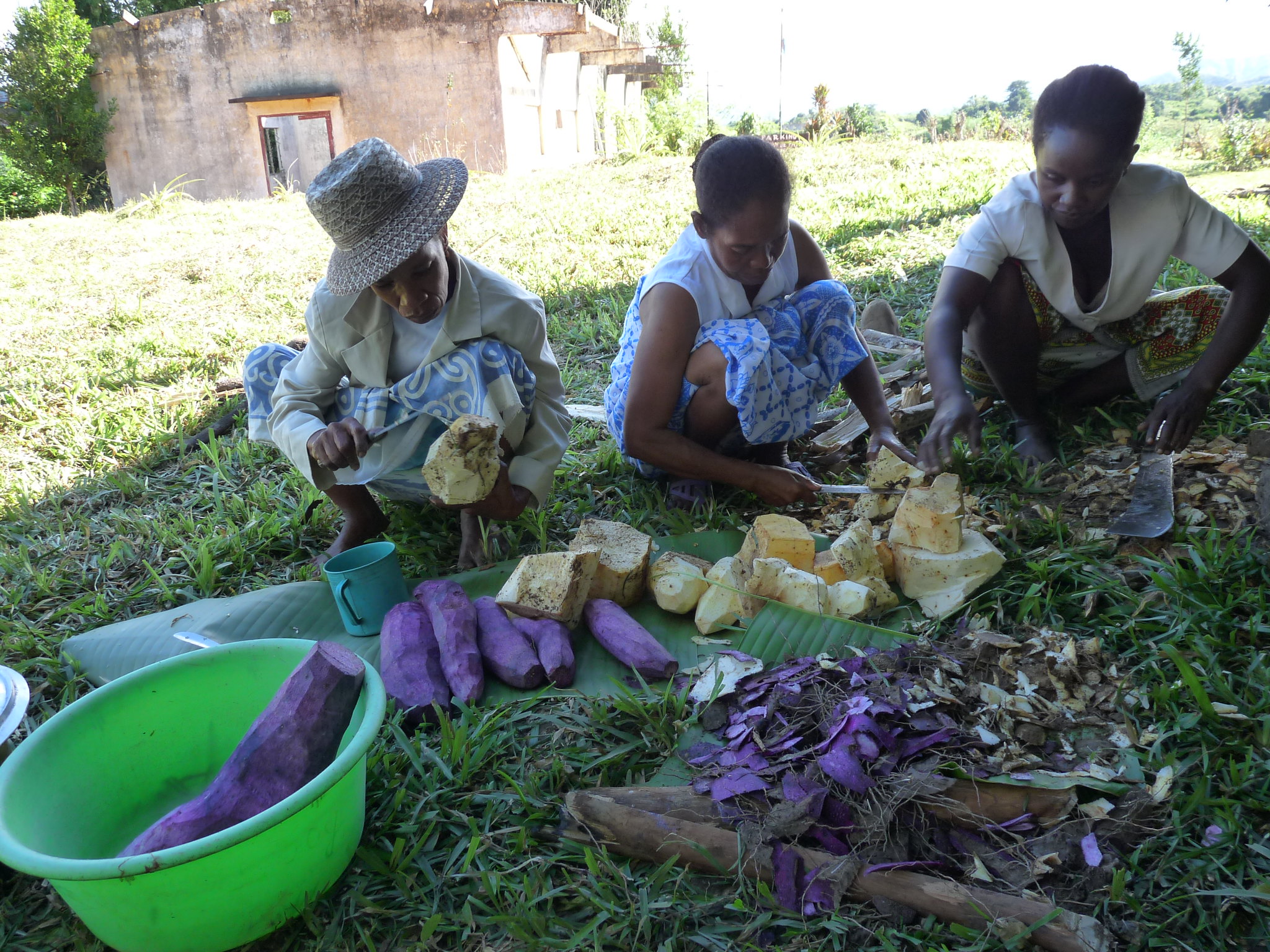 2025 Global Food Policy Report | Food Policy: Lessons and Priorities ...