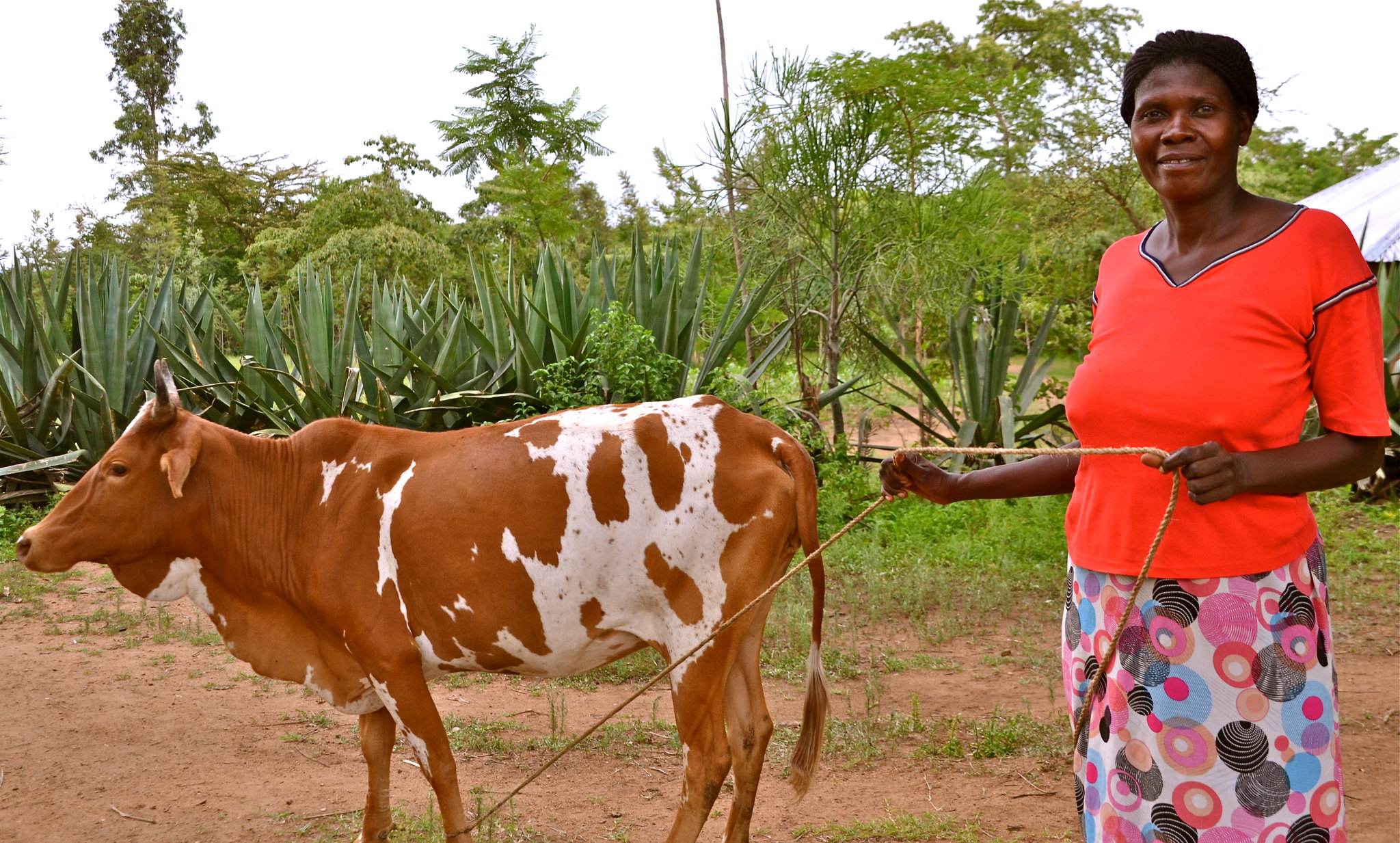 The future of climate change and food system research: 2025 Global Food ...