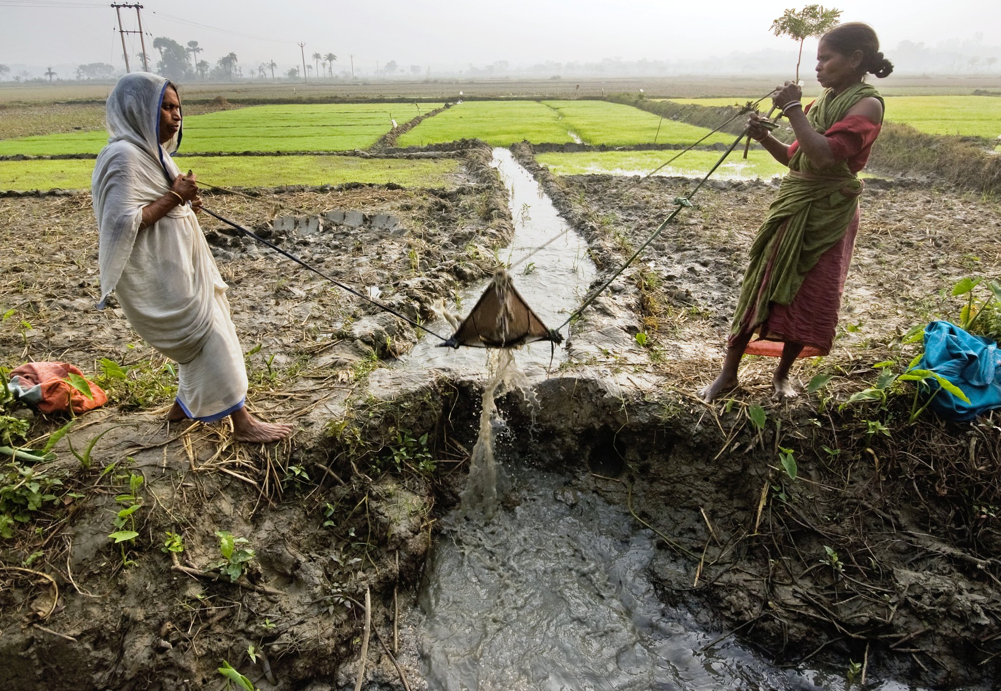 Realistic options for repurposing fertilizer subsidy spending | Food ...